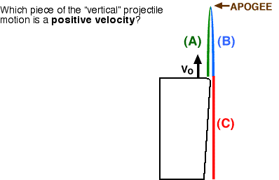 Vertical (1 Dimensional) Projectile Motion Quiz